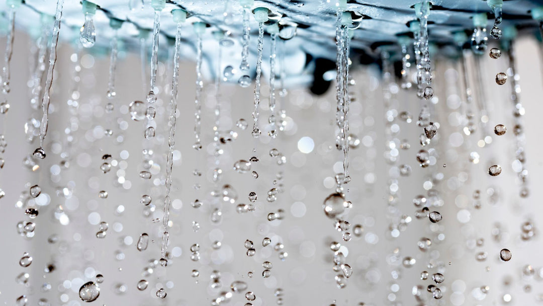 Understanding the Different Contaminants in your Shower Water – EZWELL